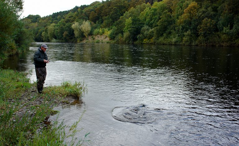 Farnley Riding Mill Salmon Fishing – Fish Tyne River for salmon and sea ...