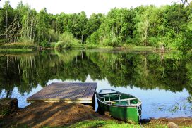 Farnley Estate Tyne Salmon Fishing
