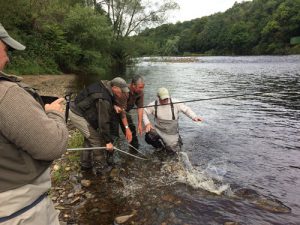 Farnley Riding Mill Salmon Fishing – Fish Tyne River for salmon and sea ...